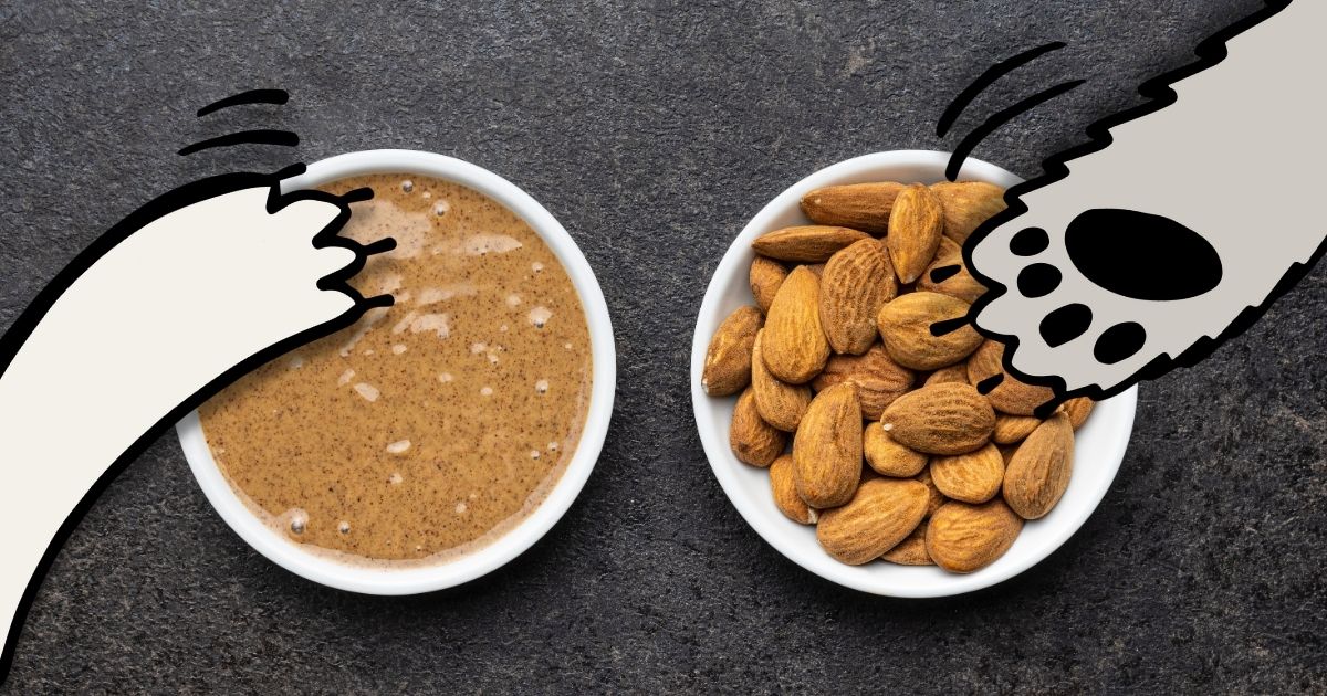 Almond Butter and Dogs: Unveiling the Pawsibilities of this Nutritious ...
