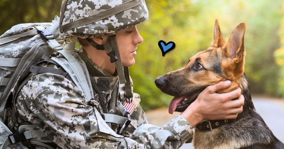 National Pets for Veterans Day on October 21 - Vital Pet Life