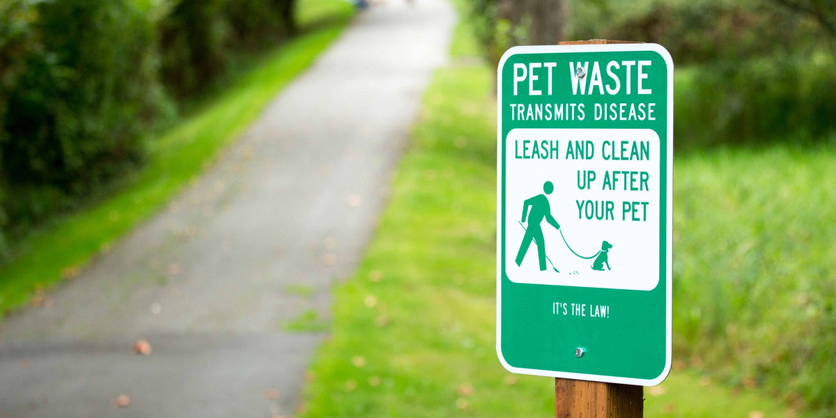 National Scoop the Poop Week — Vital Pet Life