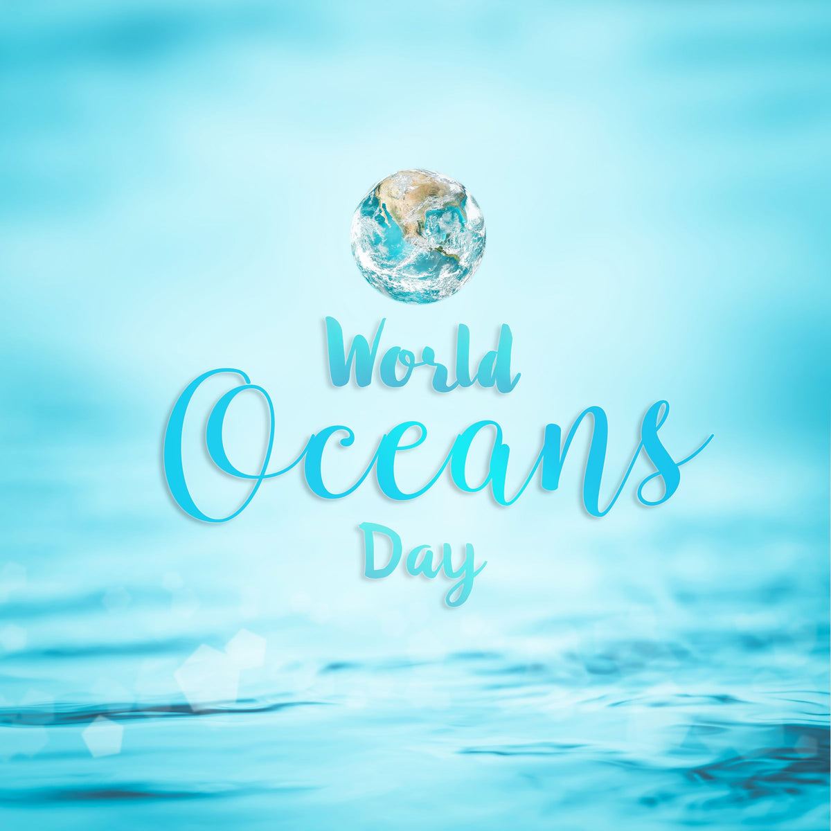 United Nations World Ocean Day — Vital Pet Life