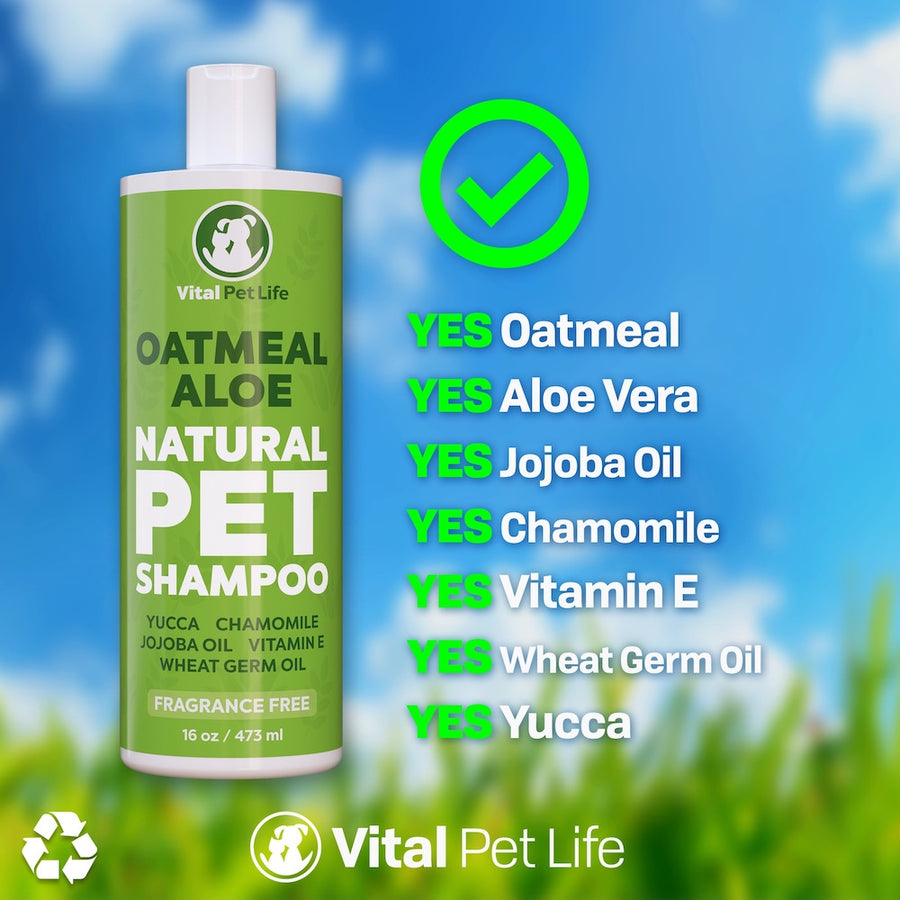 Vital Pet Life Oatmeal and Aloe Natural Shampoo for Dogs & Cats ...