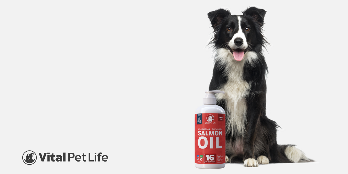 Natural Supplements And Products for Dogs & Cats | Vital Pet Life